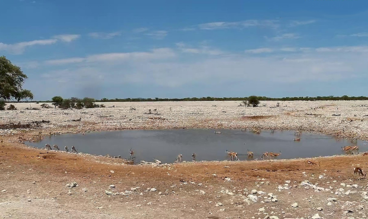 Etosha National Park, Okaukuejo Waterhole, Namibia, Namibia, Africa ...