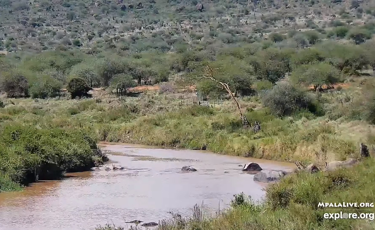 Santa Maria Beach, Sal Island, Cape Verde, Africa – Live Webcams